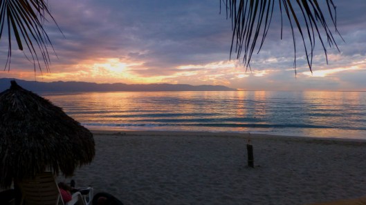 Why We Eat Meat | The Expat Almanac